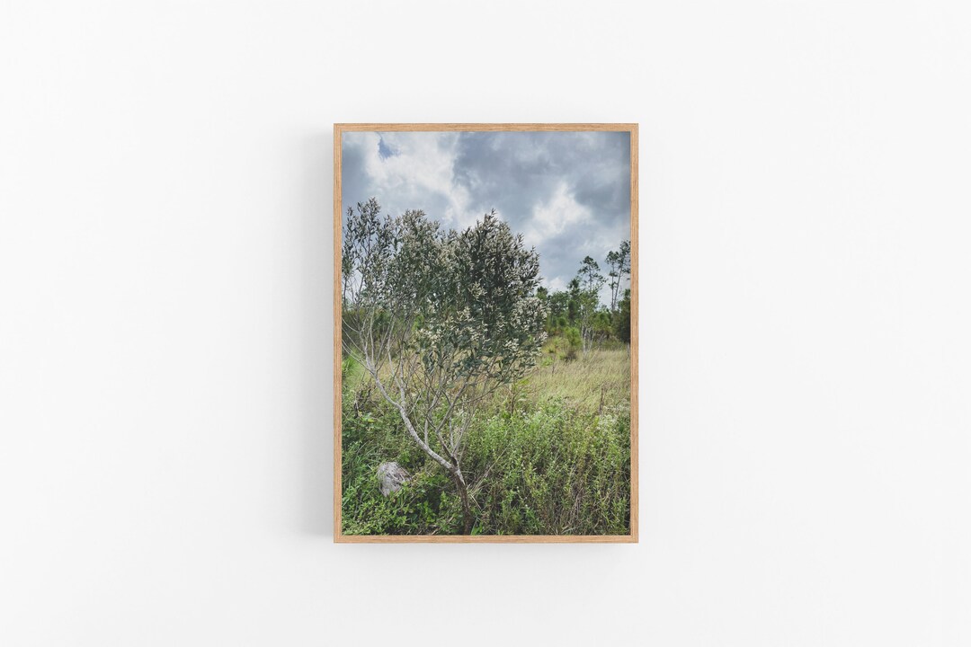 Photography Print: Pause Landscape Photograph Home Decor - Etsy