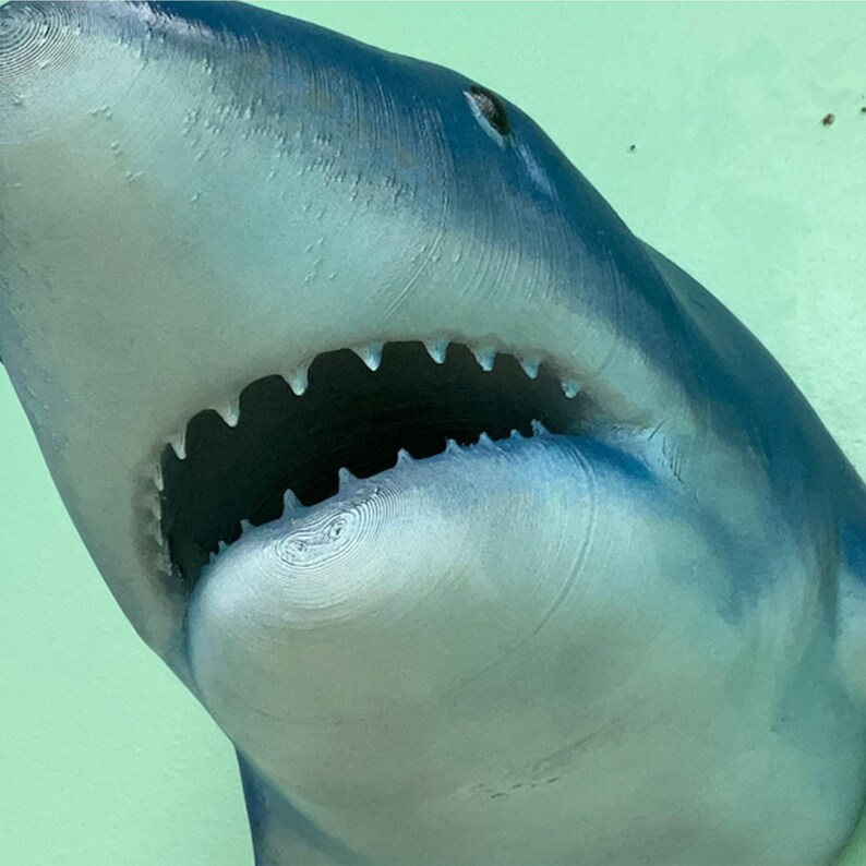 Life-size Shark Model With Prominent Teeth - Perfect for Parties and ...