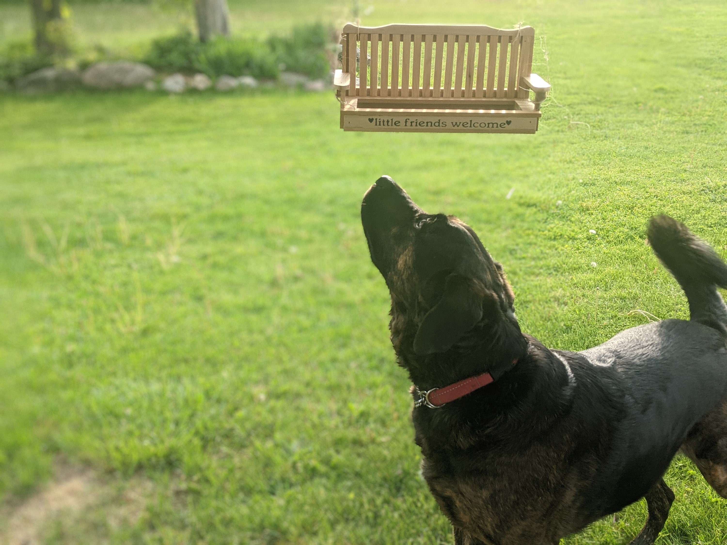 Porch Swing Bird Feeder - Etsy Canada