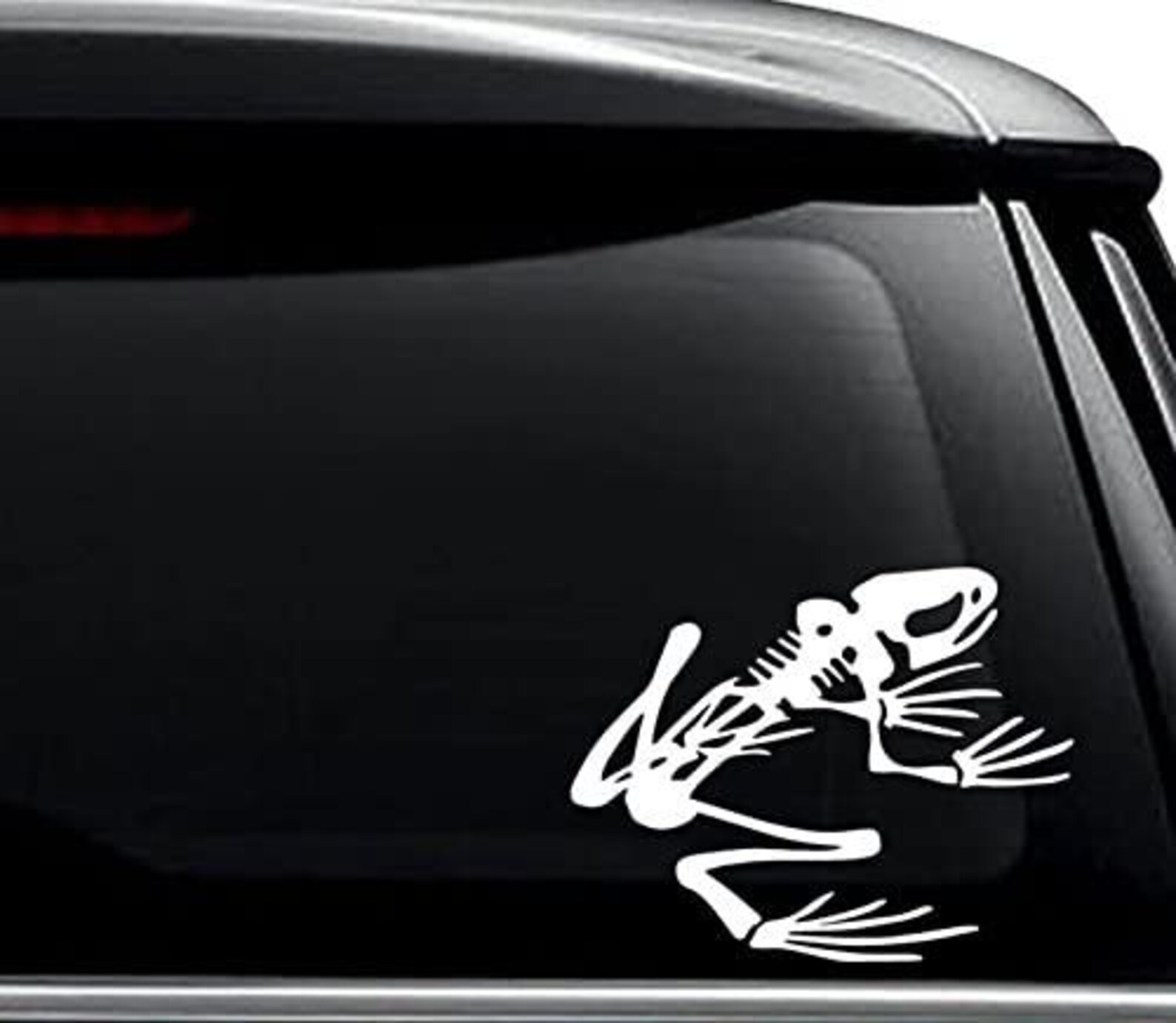 Frog Skeleton Bones Decal Sticker for Use on Laptop, Helmet, Car, Truck ...