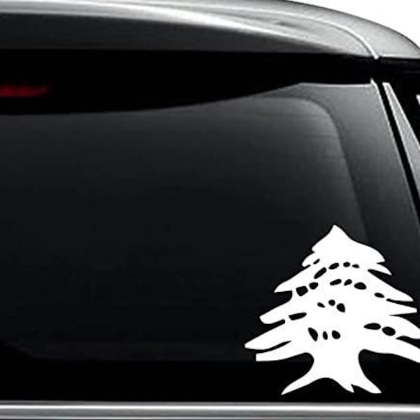 Cedar of Lebanon - Etsy