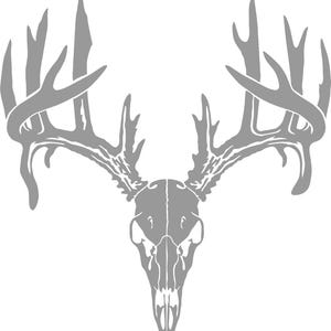 Sportsman_buck_skull Decal Sticker for Use on Laptop, Helmet, Car ...