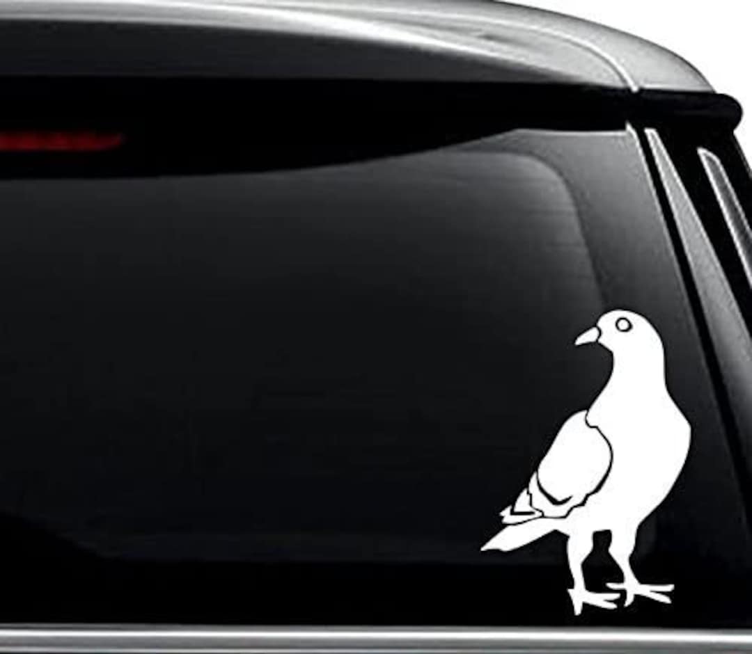 Pigeon Bird Animal Decal Sticker for Use on Laptop, Helmet, Car, Truck ...