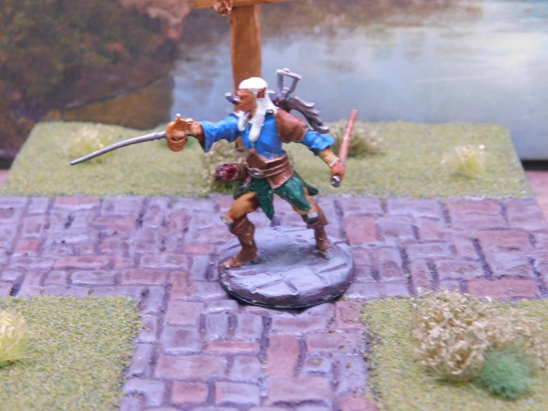 Elven/half-elf Bard/rogue/fighter/duelist - Handpainted Miniature - Etsy