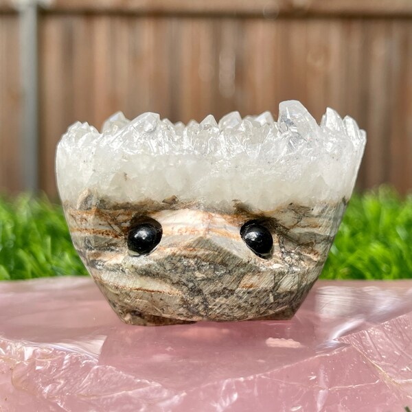 Hedgehog Rock - Etsy