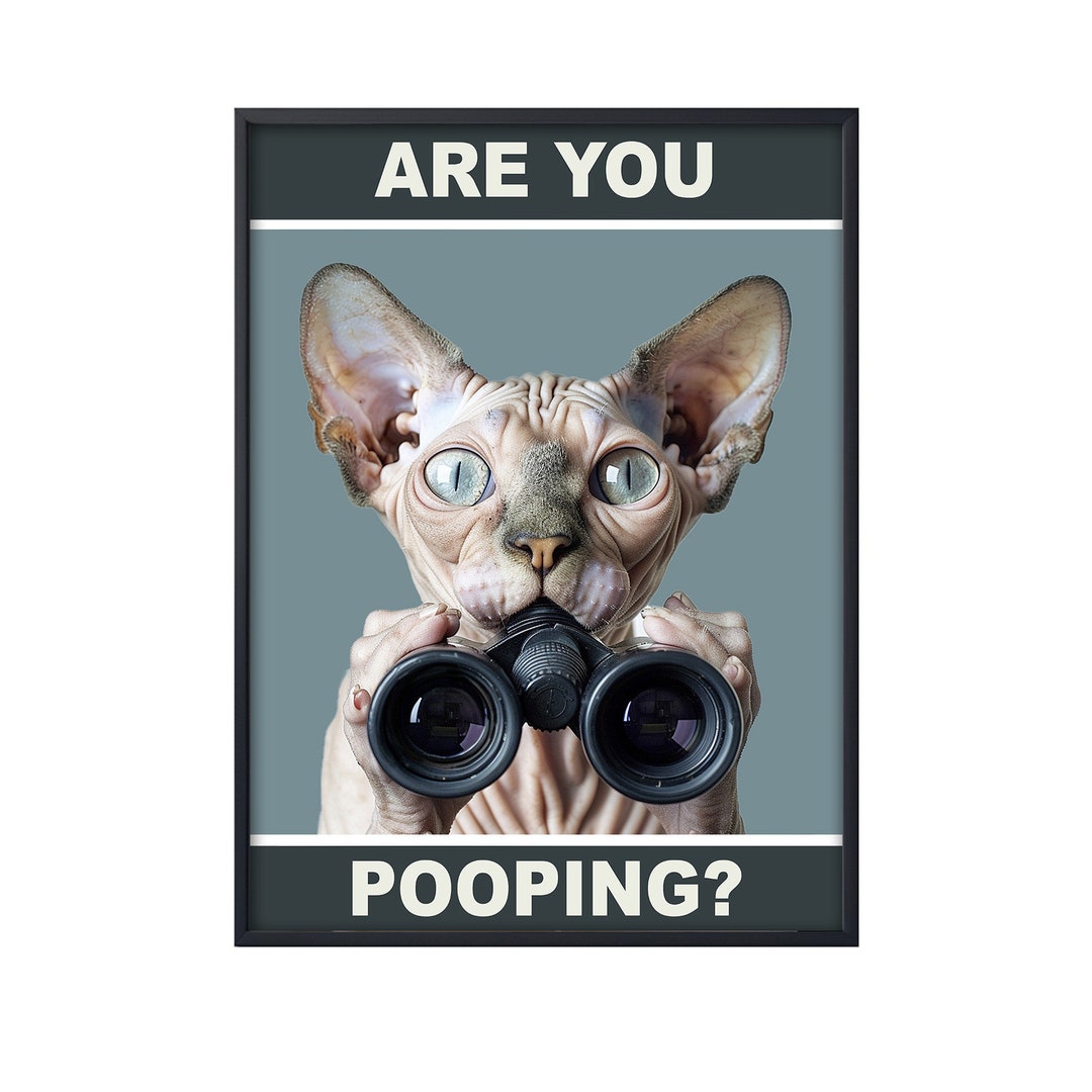 Sphynx Cat Are You Pooping, Funny Cat Poster, Sphynx Cat in Bathroom ...