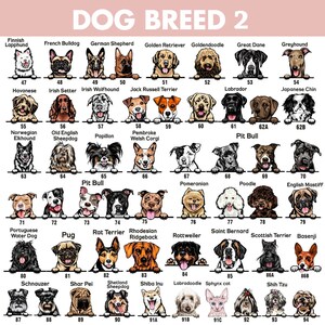 Samoyed Doormat, Samoyed Mat, Samoyed Rug, Visiting My House Mat - Etsy