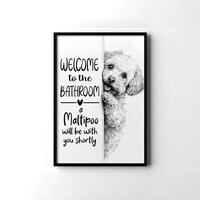 Maltipoo Line Art Clipart Bundle: Minimalist Dog SVG, PNG (digital ...