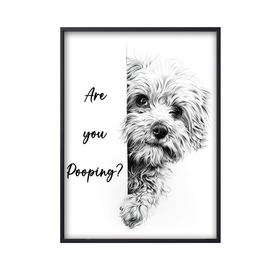 Funny Maltipoo Are You Pooping Poster, Funny Dog Poster, Funny Maltipoo ...