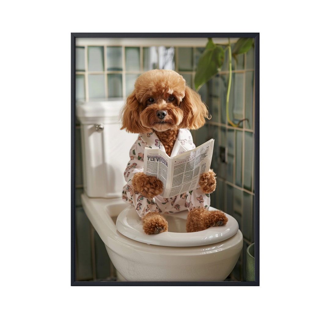 Cavapoo Sitting on Toilet Reading Newspaper, Funny Dog on Loo,cavapoo ...