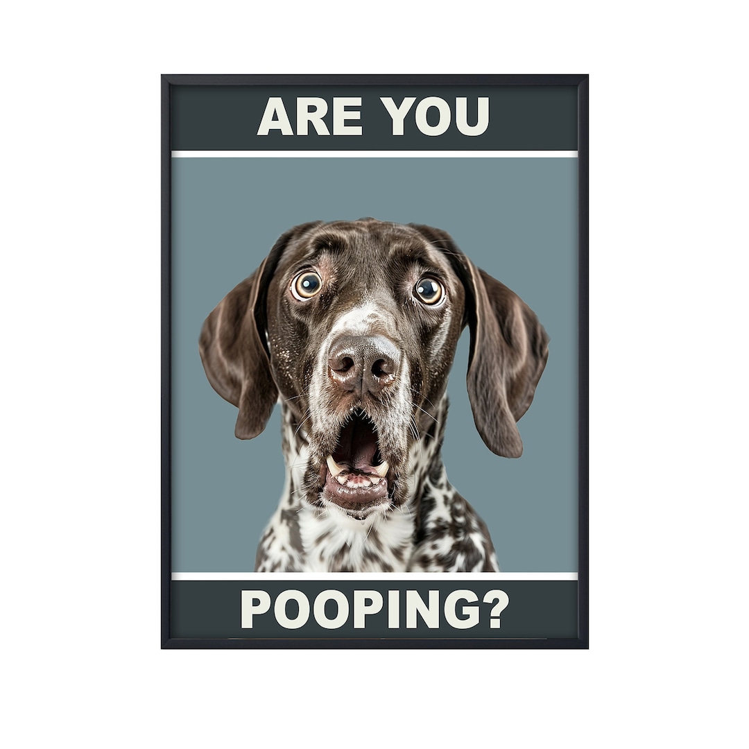German Shorthaired Pointer Are You Pooping, Funny Dog Poster Wall Art ...