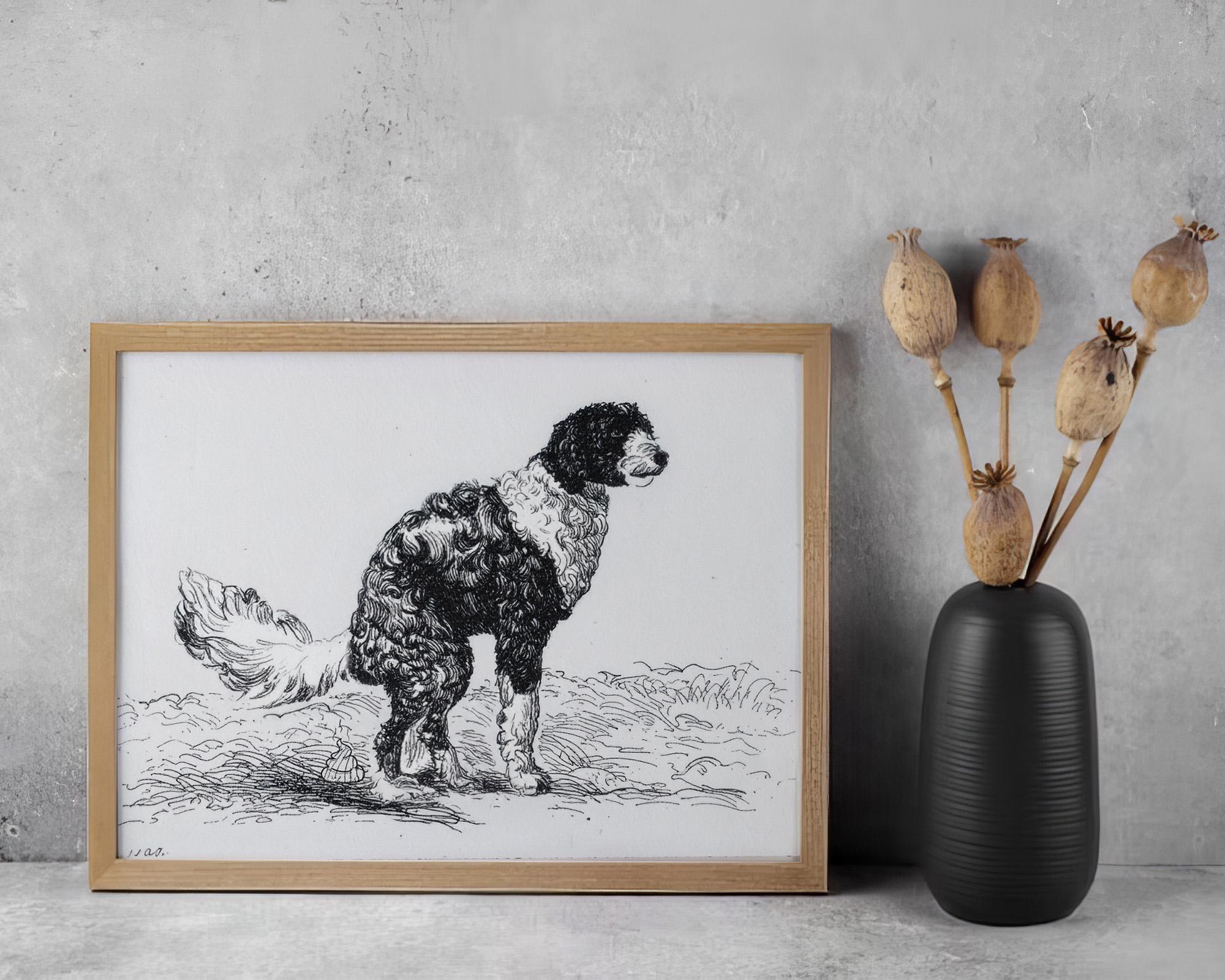 Portuguese Water Dog Pooping on the Grass Poster, Portuguese Water Dog ...