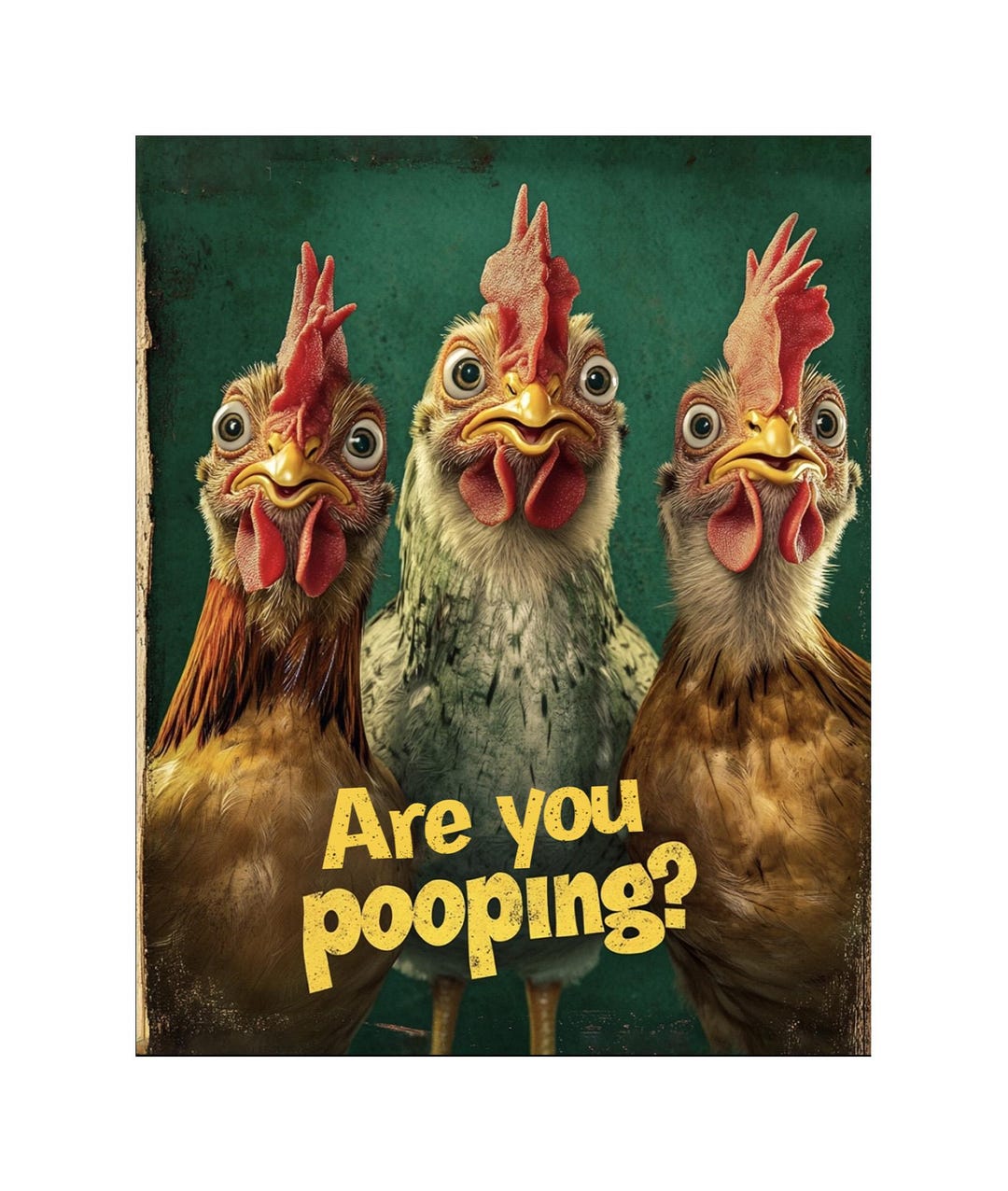 Funny Chicken Are You Pooping Poster, Chicken Poster Wall Art, Farm ...