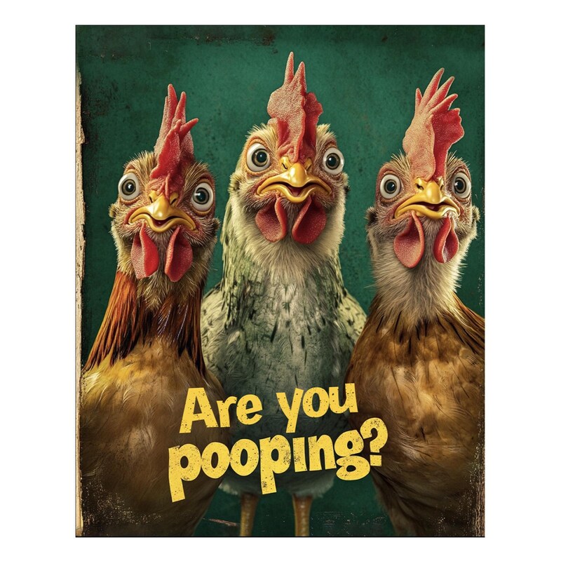 Chicken Poop Sign - Etsy