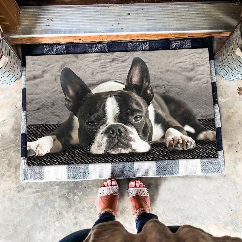 Boston Terrier Decor - Etsy