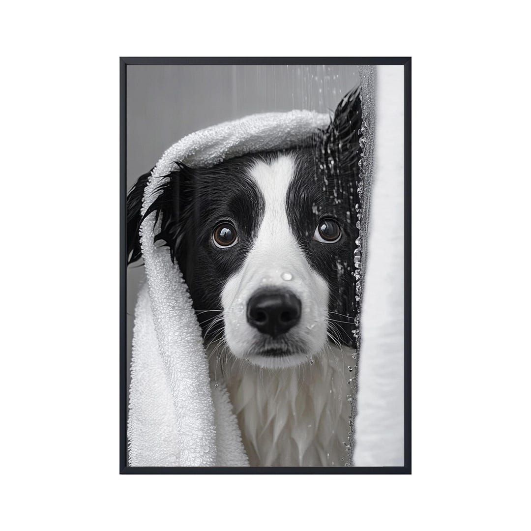 Border Collie in Bath Poster Canvas Print, Funny Shower Dog, Bathroom ...