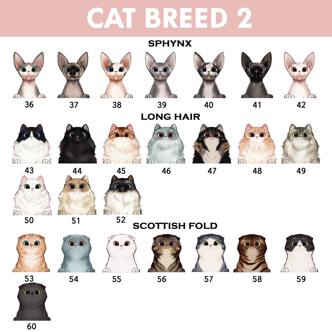 Sphynx Cat Doormat Sphynx Cat Rug When Visiting My House | Etsy