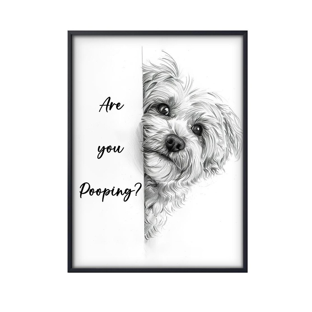 Funny Havanese Are You Pooping, Havanese Poster, Havanese Dog Wall Art ...