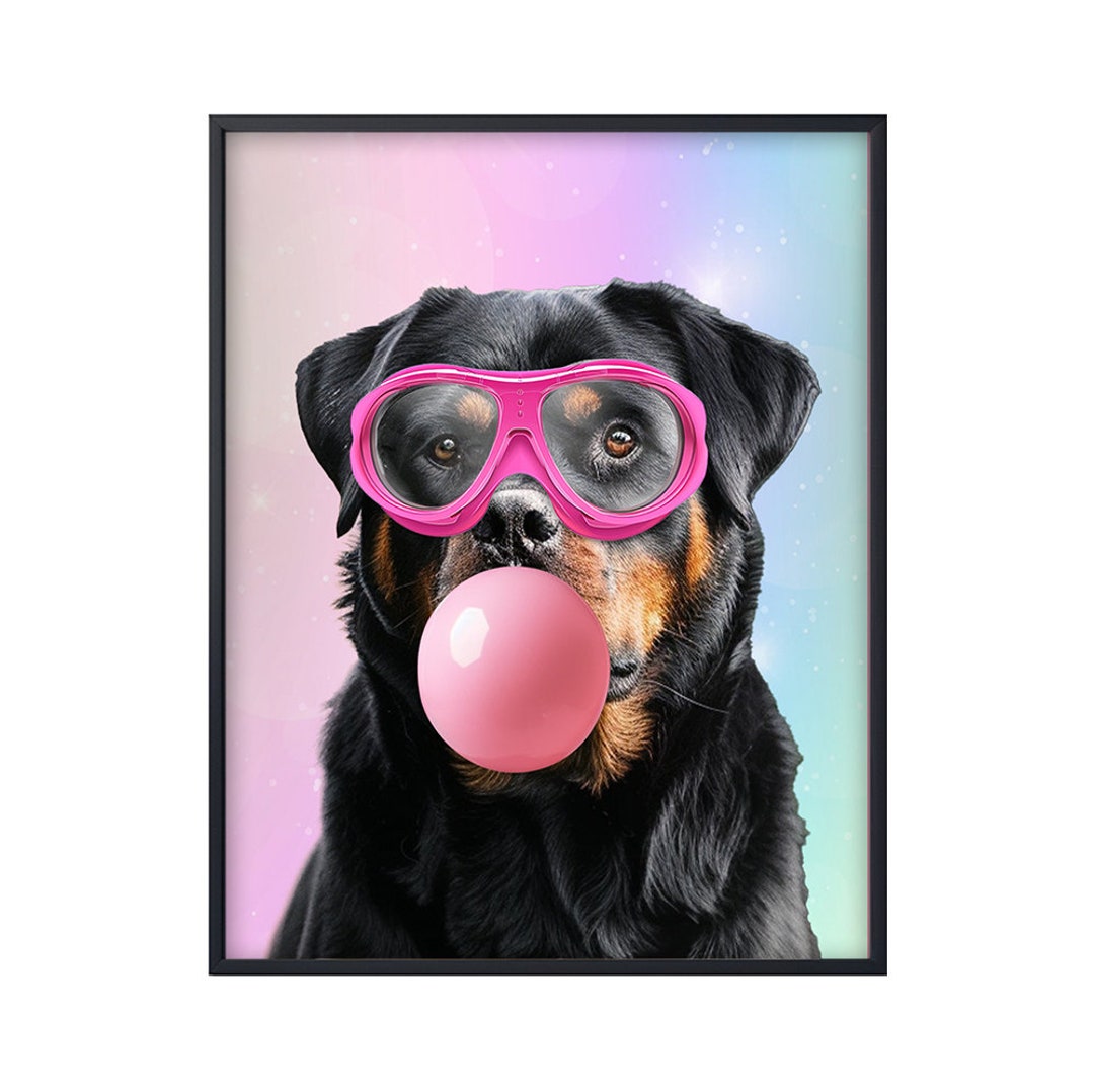 Rottweiler Portrait Blowing Bubble Gum, Wearing Goggles, Rottweiler ...