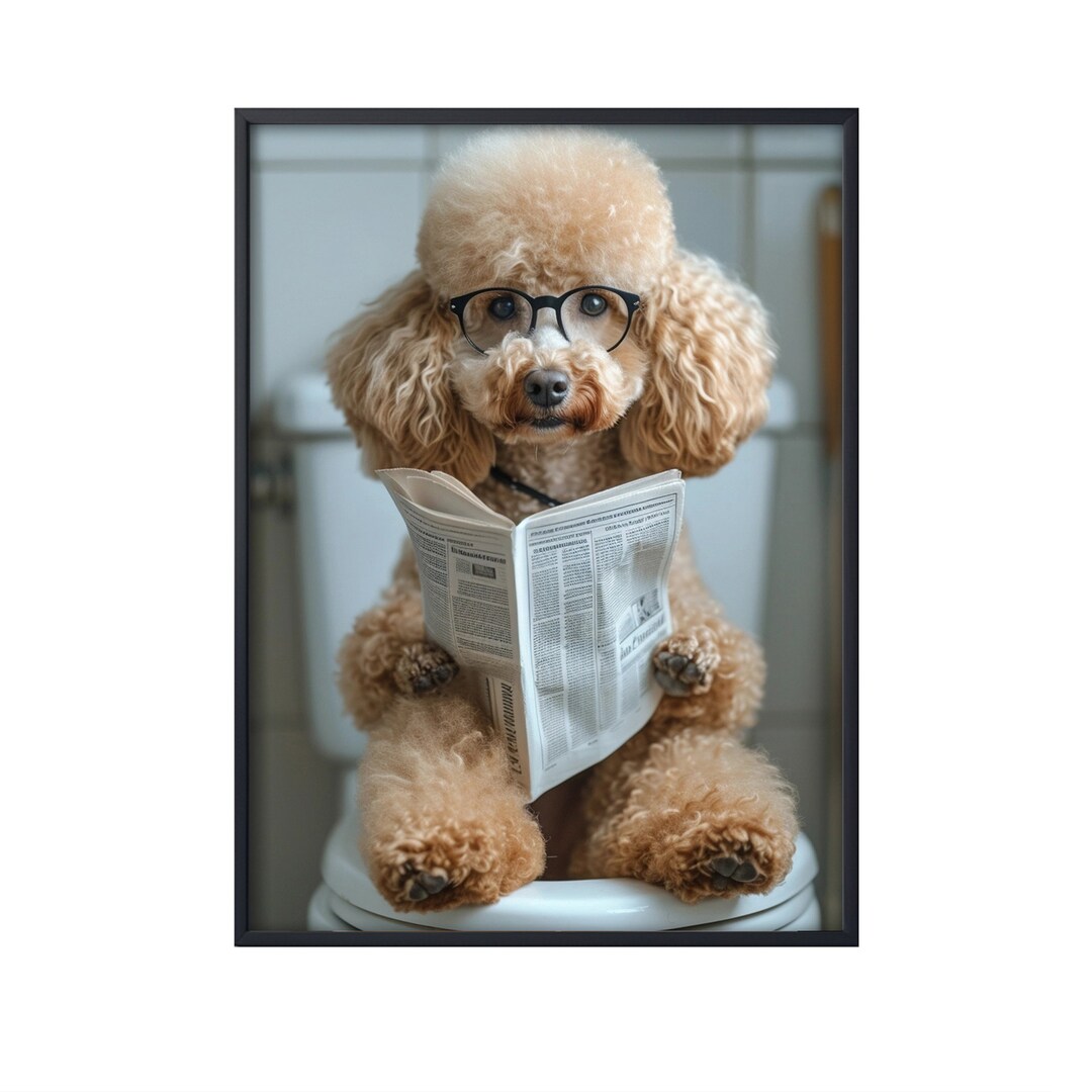 Miniature Poodle Sitting on Toilet Reading Newspaper, Funny Dog Picture ...