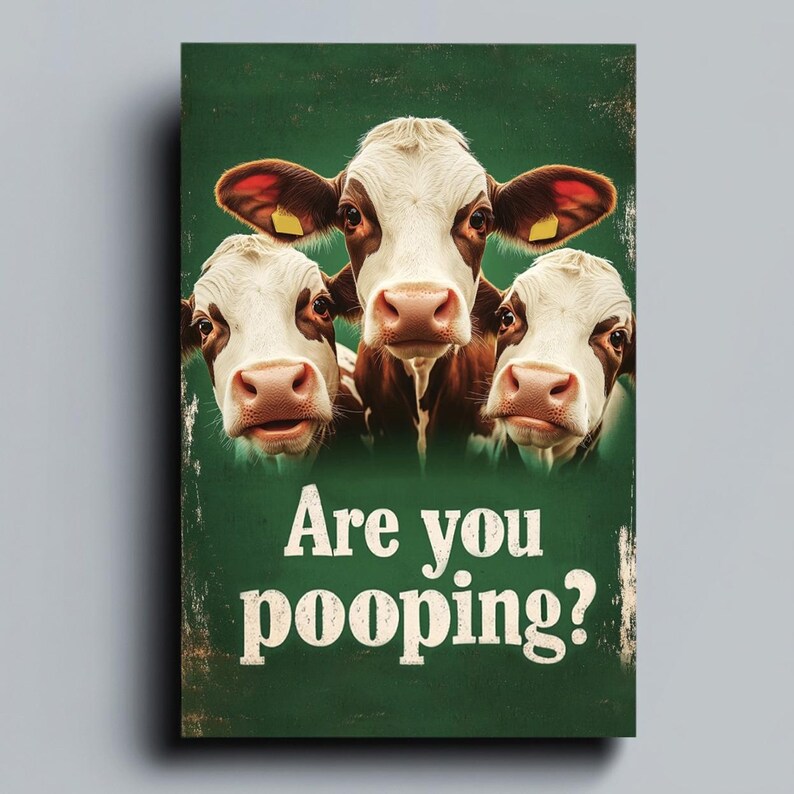 Funny Cow Are You Pooping Poster, Highland Cow Poster Wall Art, Farm ...