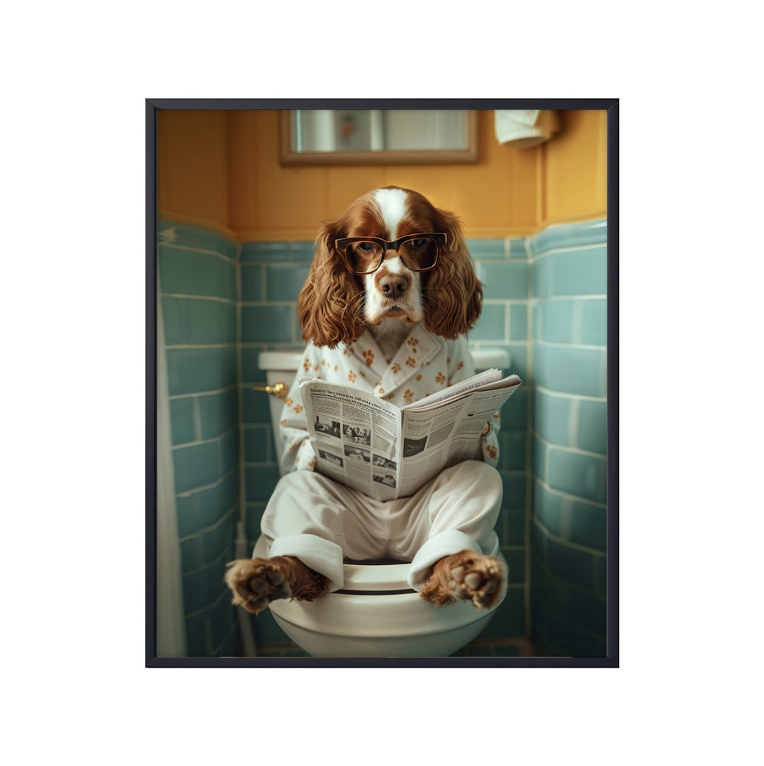 English Springer Spaniel Sitting on Toilet Reading Newspaper, Funny Dog ...