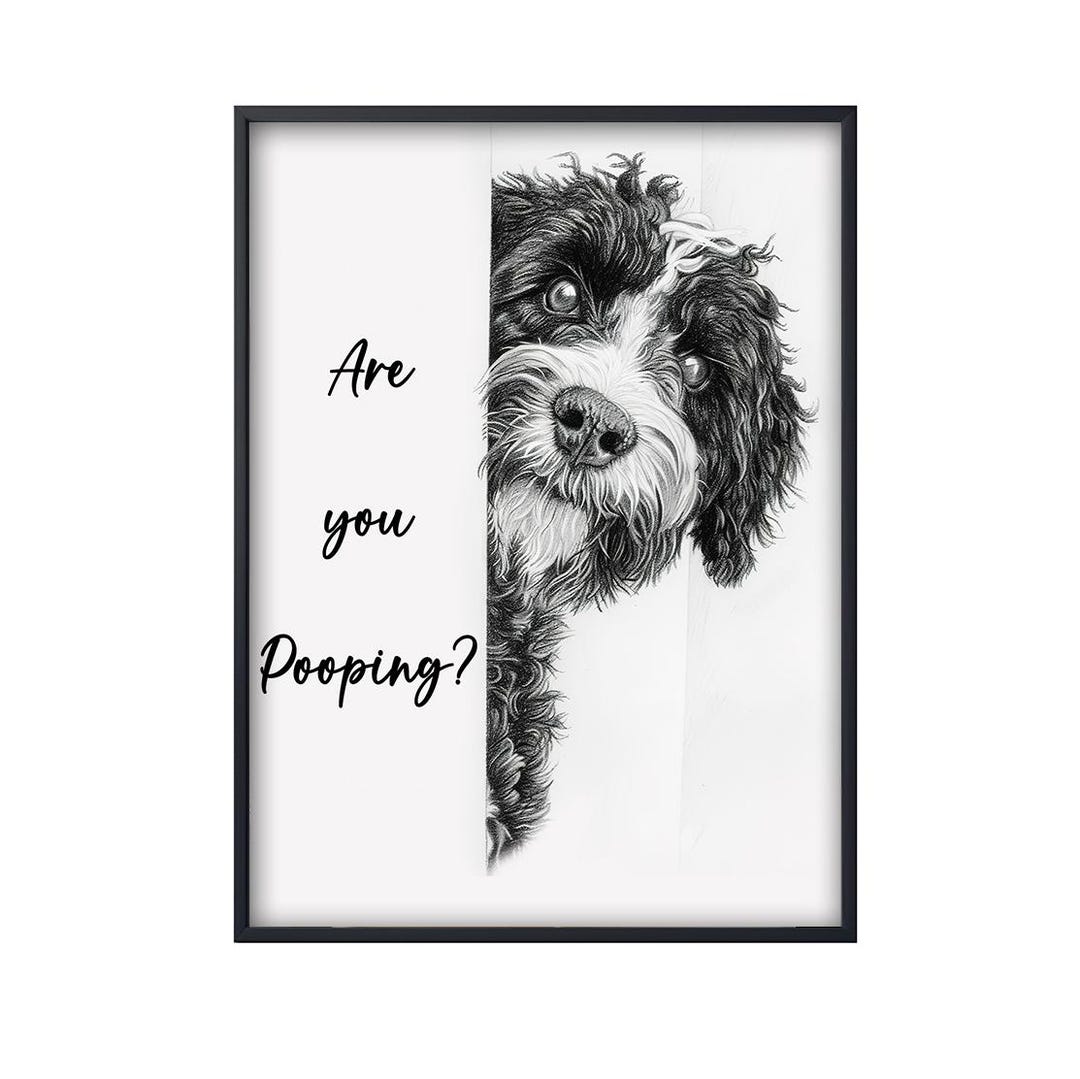Funny Bernedoodle Are You Pooping Poster, Funny Dog Poster, Bernedoodle ...