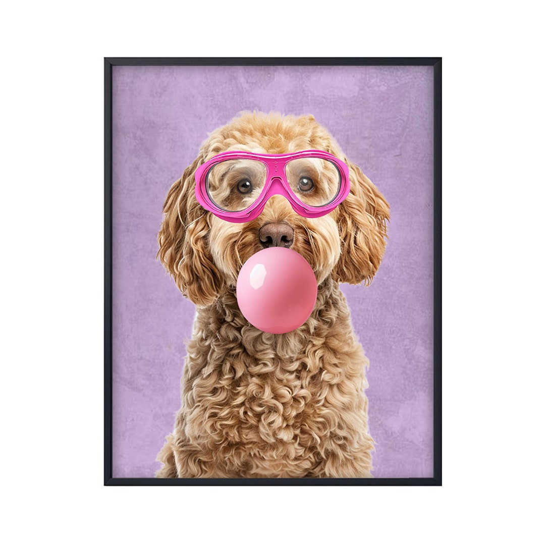 Goldendoodle Portrait Blowing Bubble Gum, Wearing Goggles, Goldendoodle ...