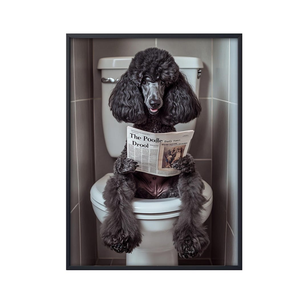 Black Poodle Sitting on Toilet, Dog Reading Newspaper, Funny Poodle ...