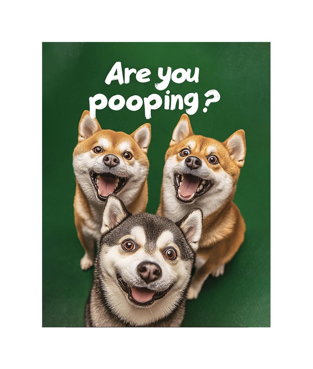 Funny Shiba Inu Are You Pooping Poster, Funny Dog Poster, Shiba Inu ...