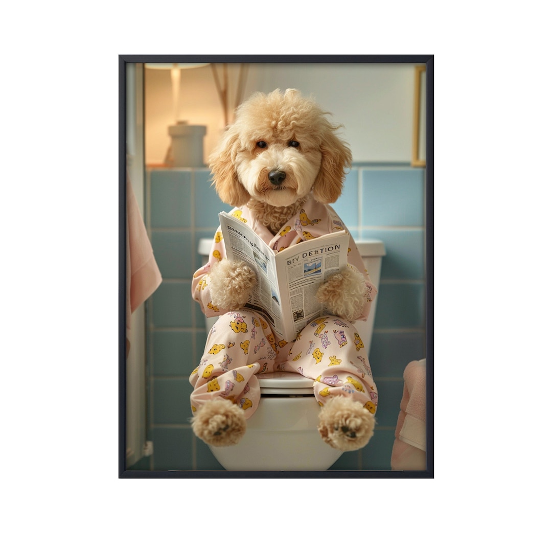 Goldendoodle Sitting on Toilet Reading Newspaper,funny Dog on Loo ...