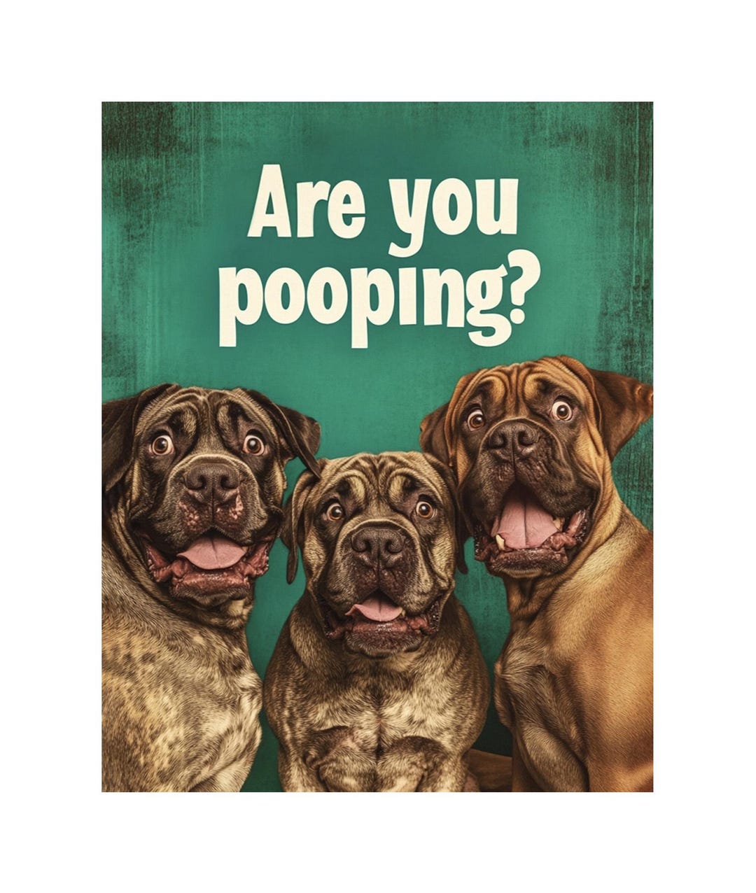 Funny English Mastiff Are You Pooping Poster, Funny Dog Poster, English ...