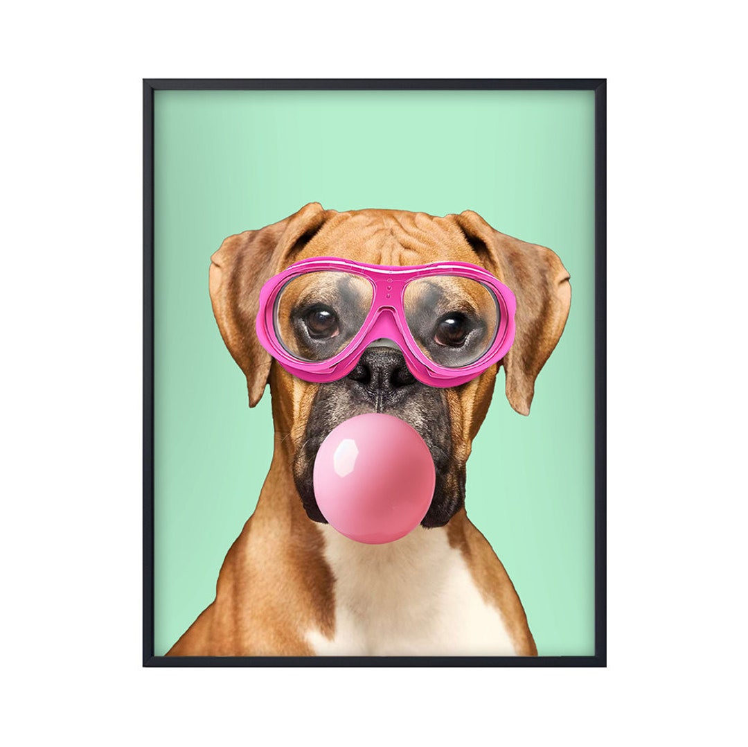 Boxer Portrait Blowing Bubble Gum, Wearing Goggles, Boxer Poster, Boxer ...