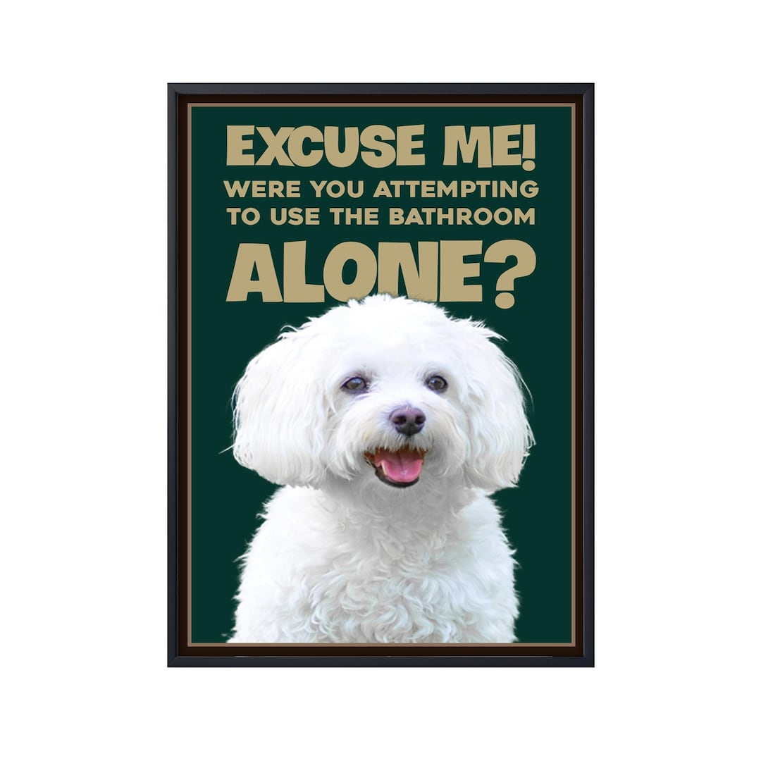 Havanese Dog Canvas, Funny Dog Poster, Havanese Wall Art, Funny Dog ...