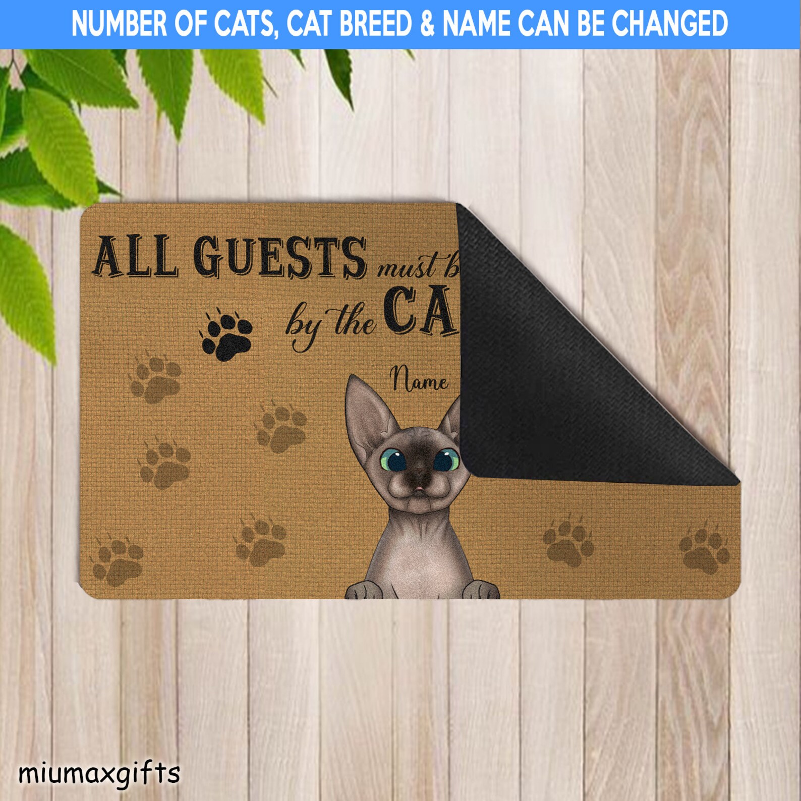 Sphynx Cat Doormat Sphynx Cat Rug When Visiting My House | Etsy