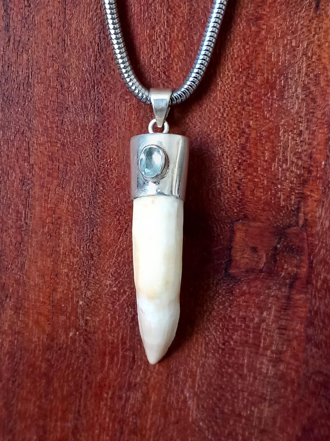 Talisman Alligator Tooth Chain Necklace With Faceted Aquamarine- 925 ...