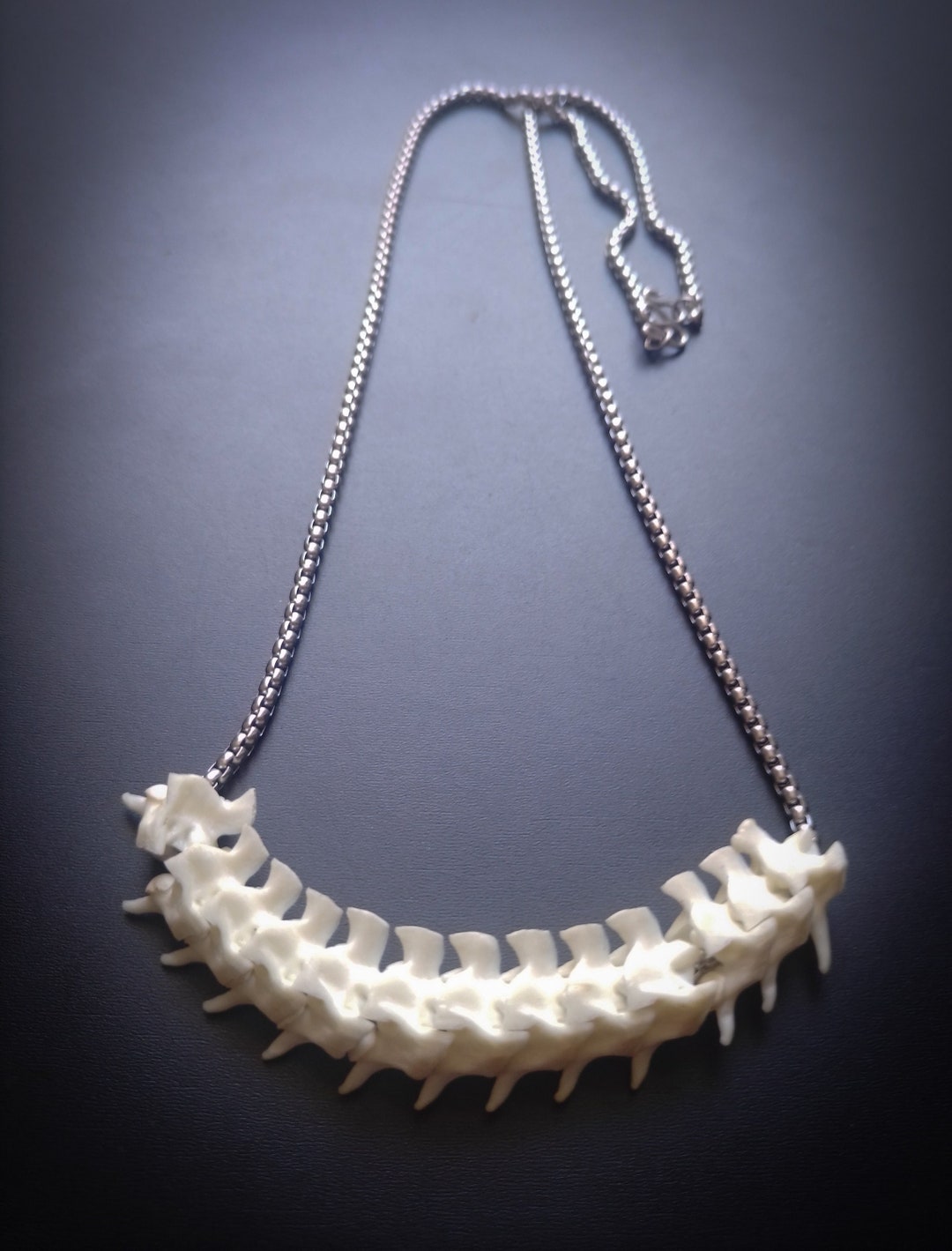 Snake Vertebrae Bone Chain Necklace- Voodoo Jewels- Unisex- Wiccan ...