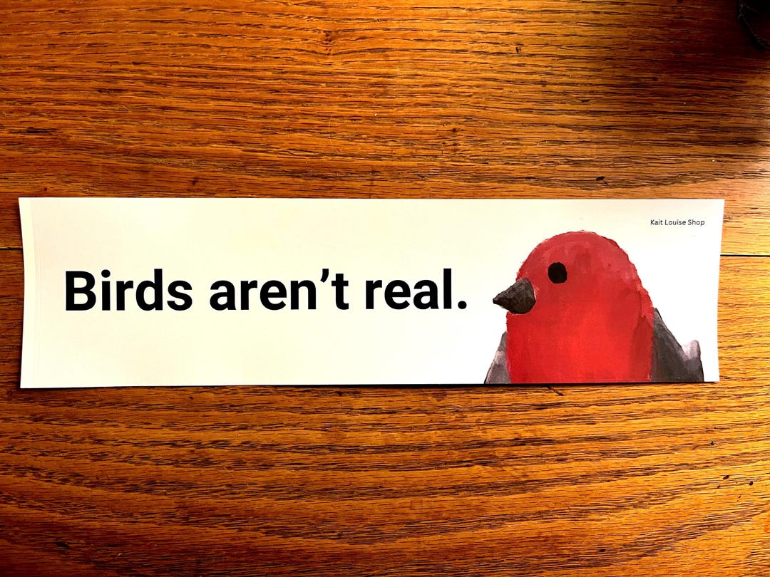 Birds Aren’t Real Bumper Sticker, Bird Bumper Sticker, Funny Bird ...