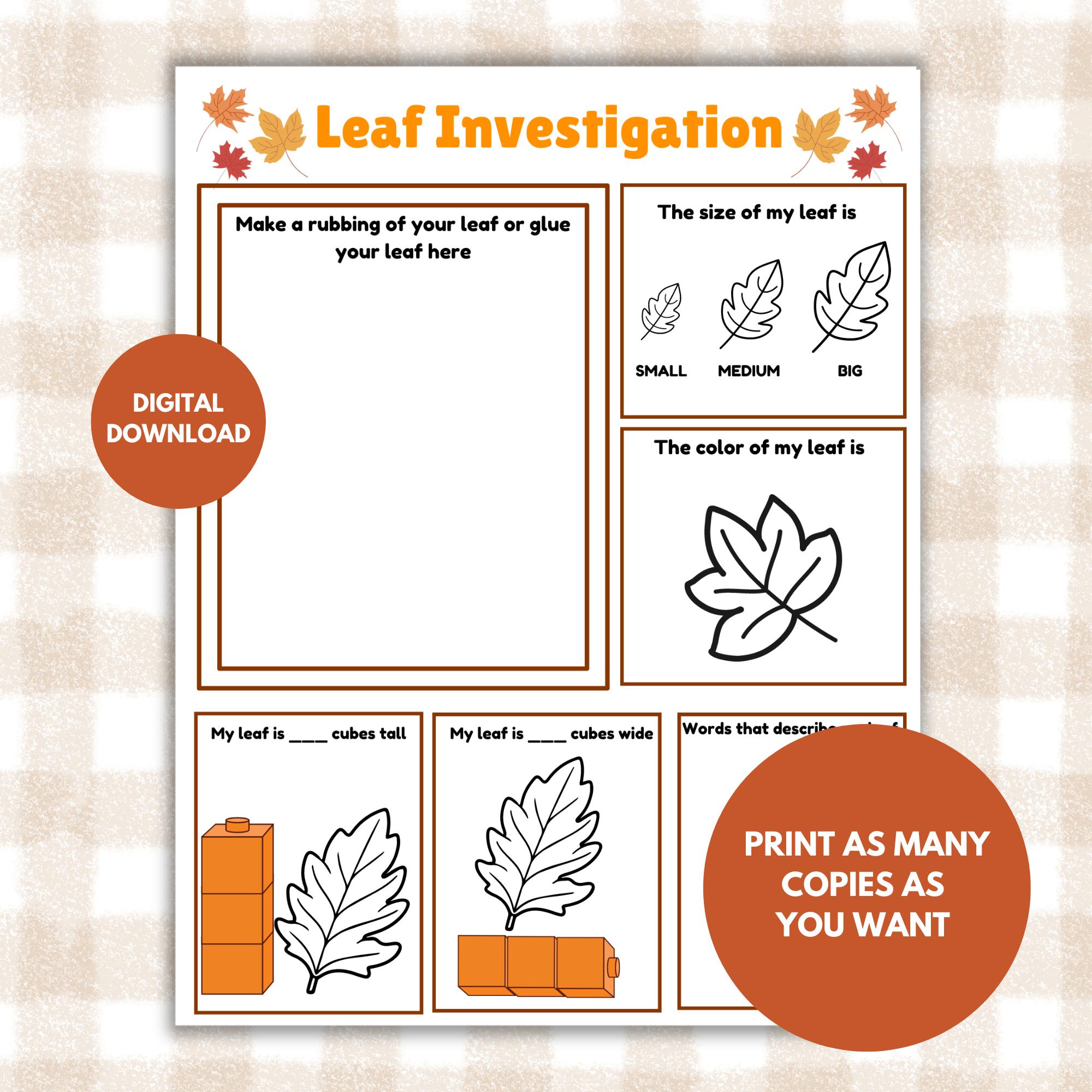 Leaf Investigation Activity Worksheet, Kid Nature Activity, Fall Leaf ...