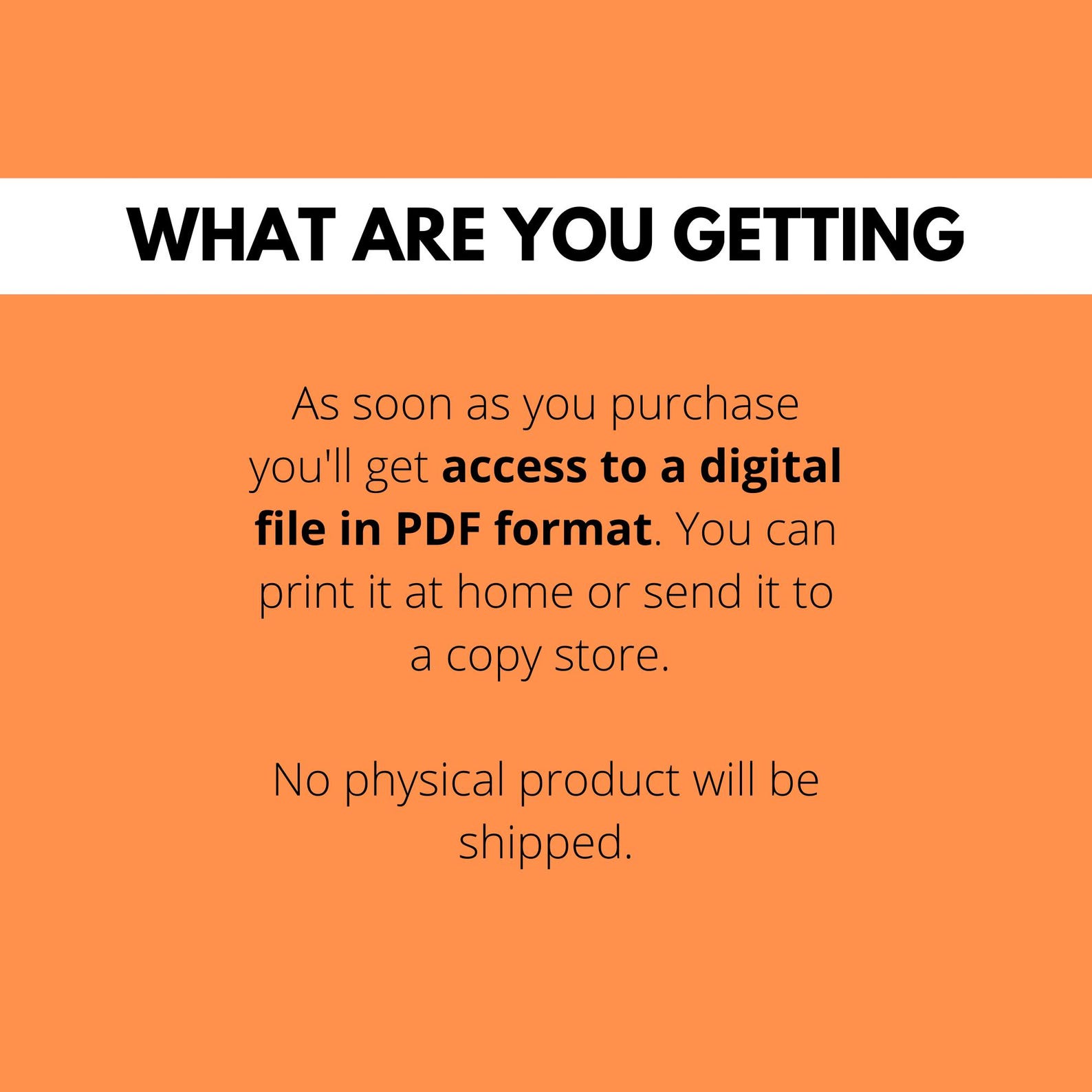 Leaf Investigation Activity Worksheet, Kid Nature Activity, Fall Leaf ...