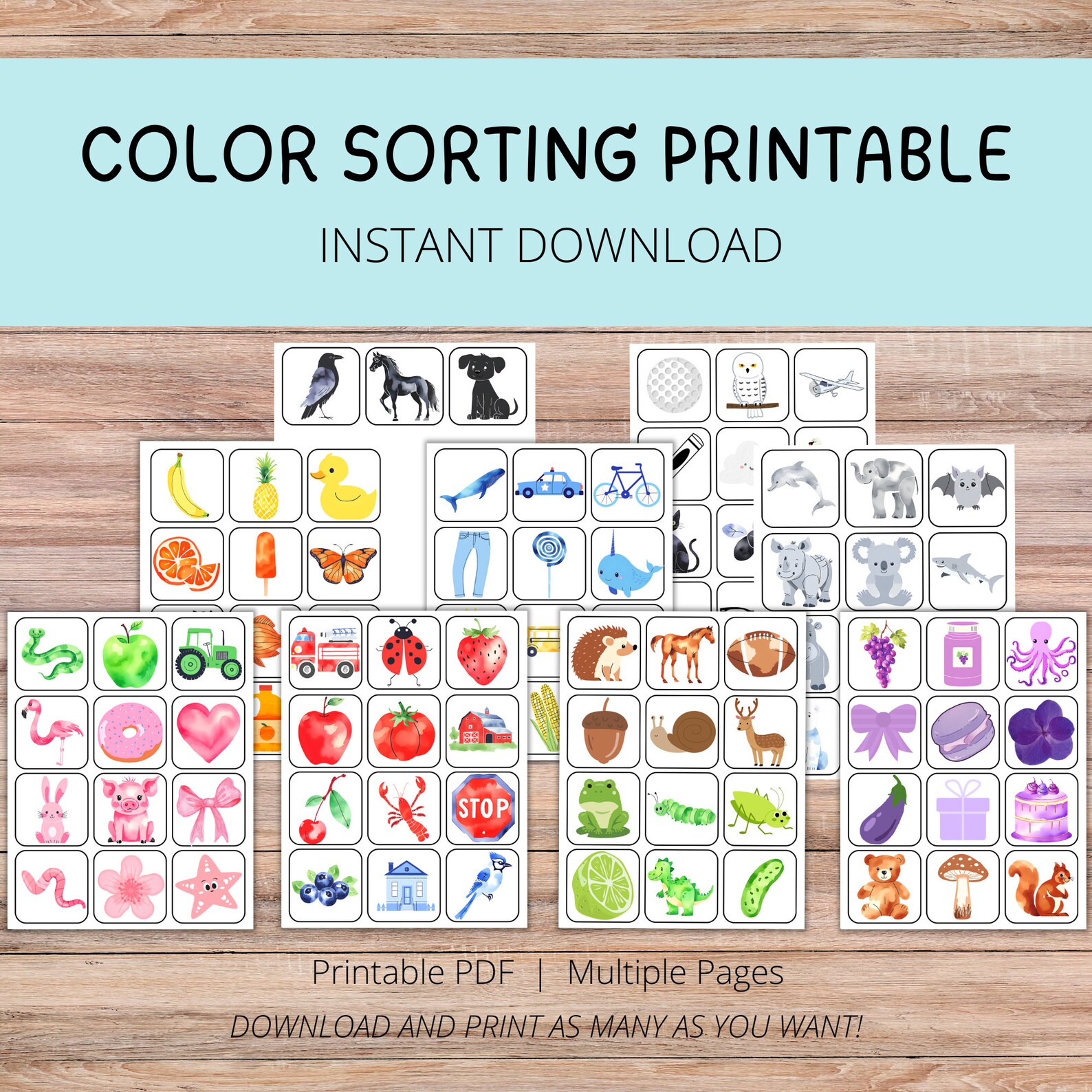 Color Sorting Activity Printable, Color Sorting Preschool Printable ...