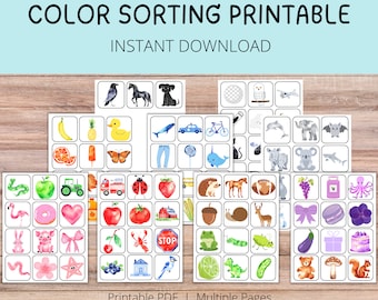 Color Sorting Worksheet - Etsy