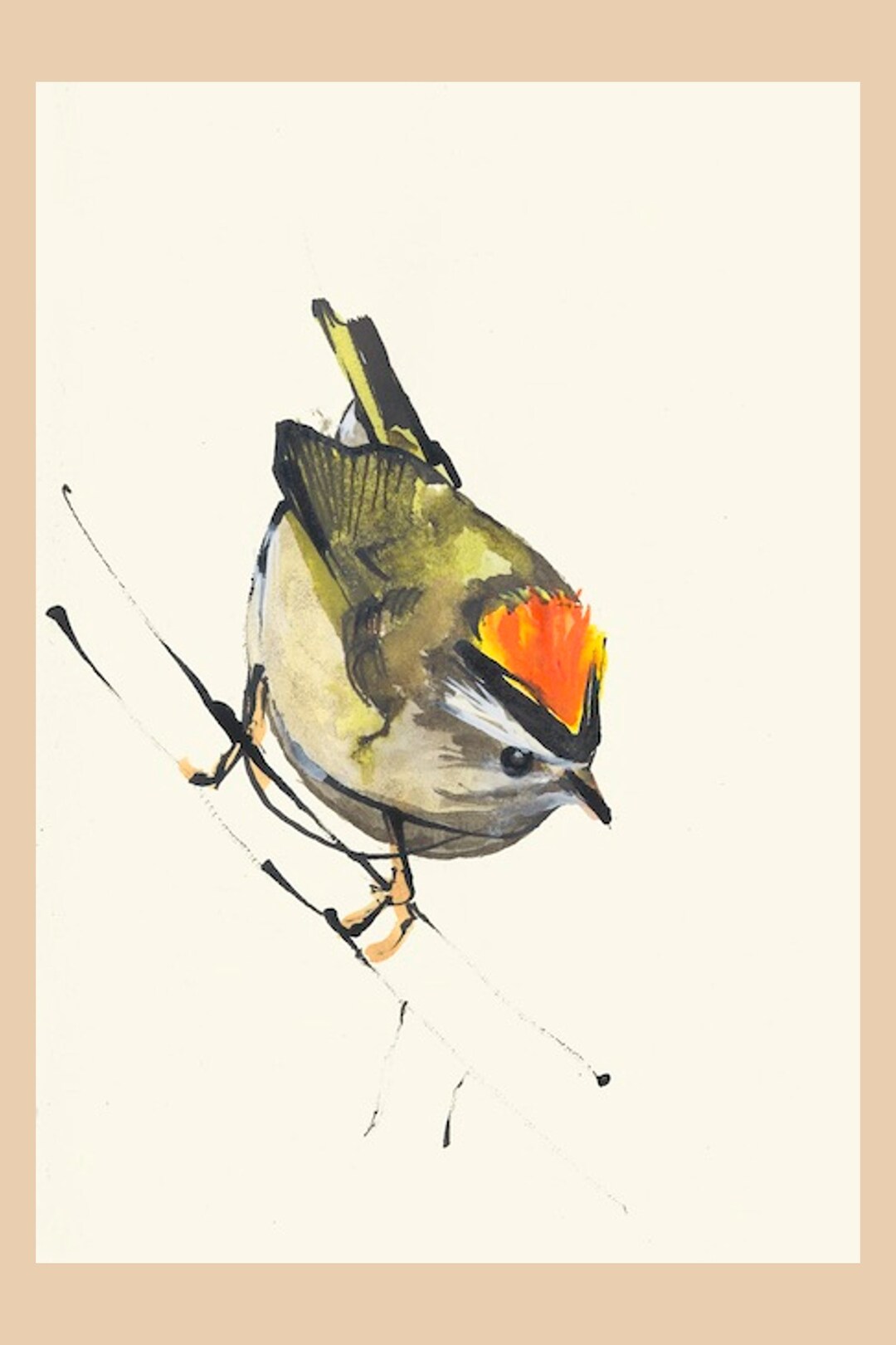 Firecrest Print - Etsy