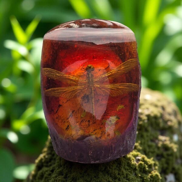 Dragonfly in Amber - Etsy