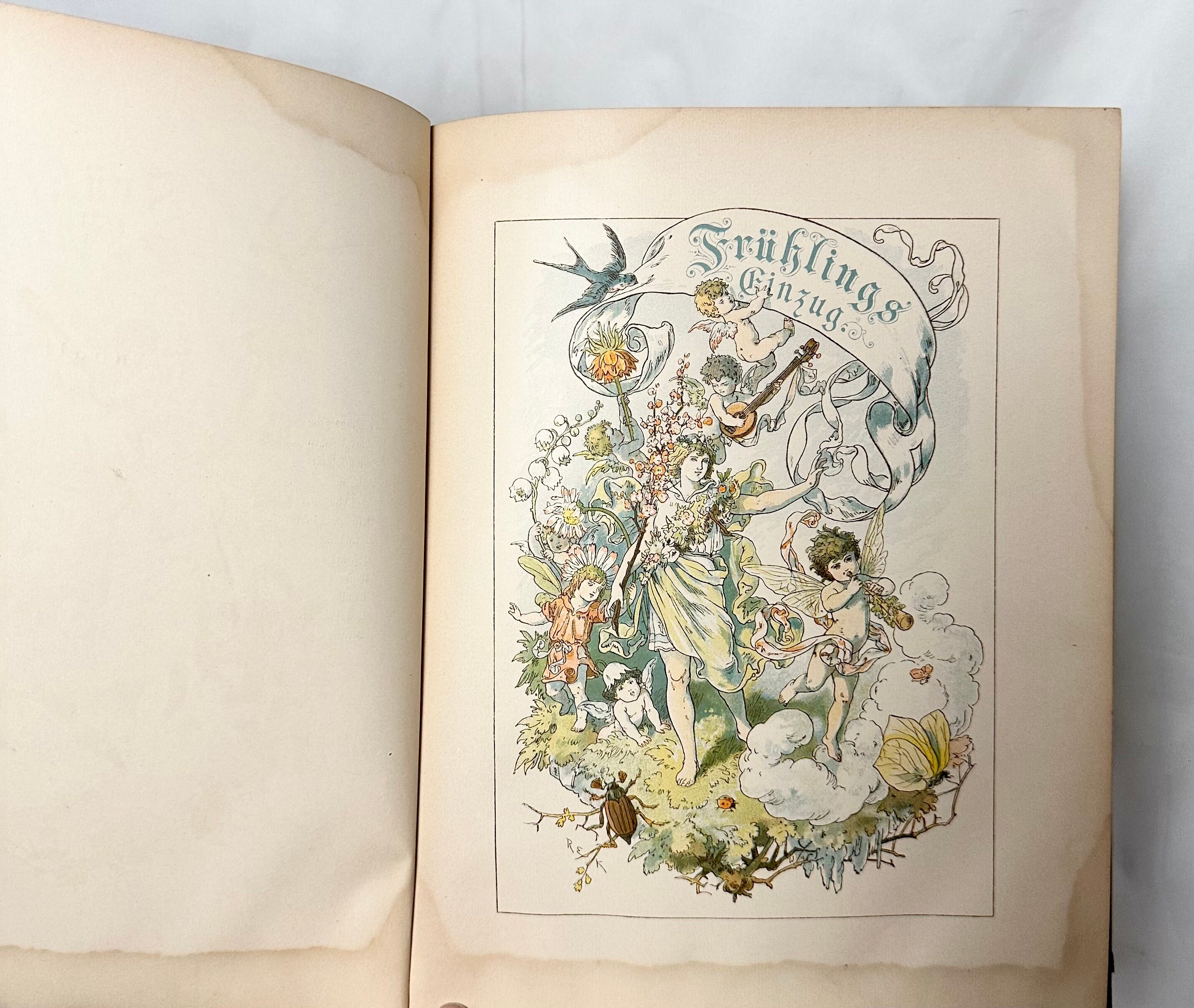 1886 Antique Fairy Tale Book by German Author fairytales From Fields ...