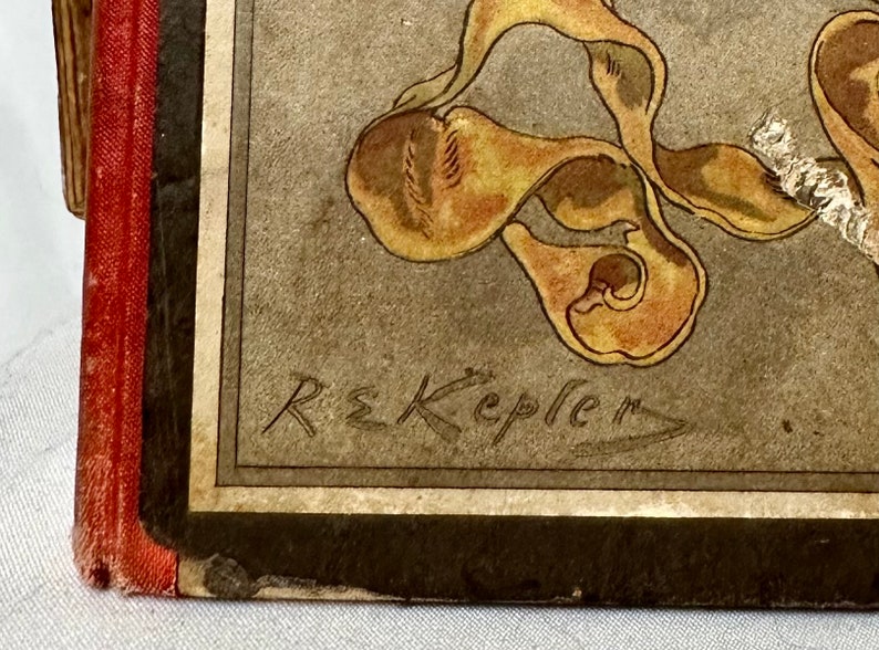 1886 Antique Fairy Tale Book by German Author fairytales From Fields ...