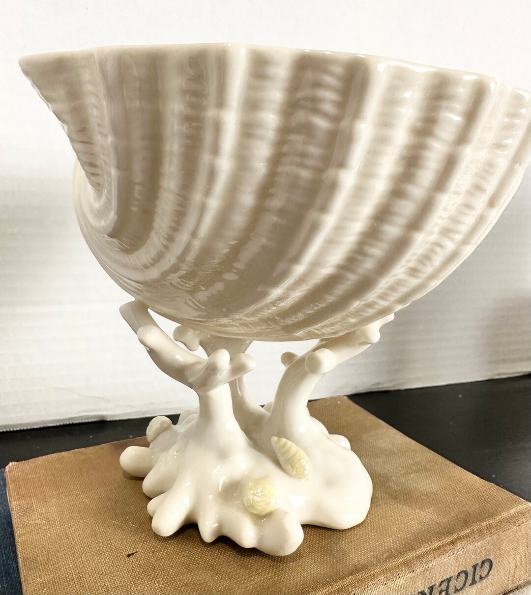 Belleek Cardium Shell Compote Dish Vase Display Vintage Belleek Belleek ...