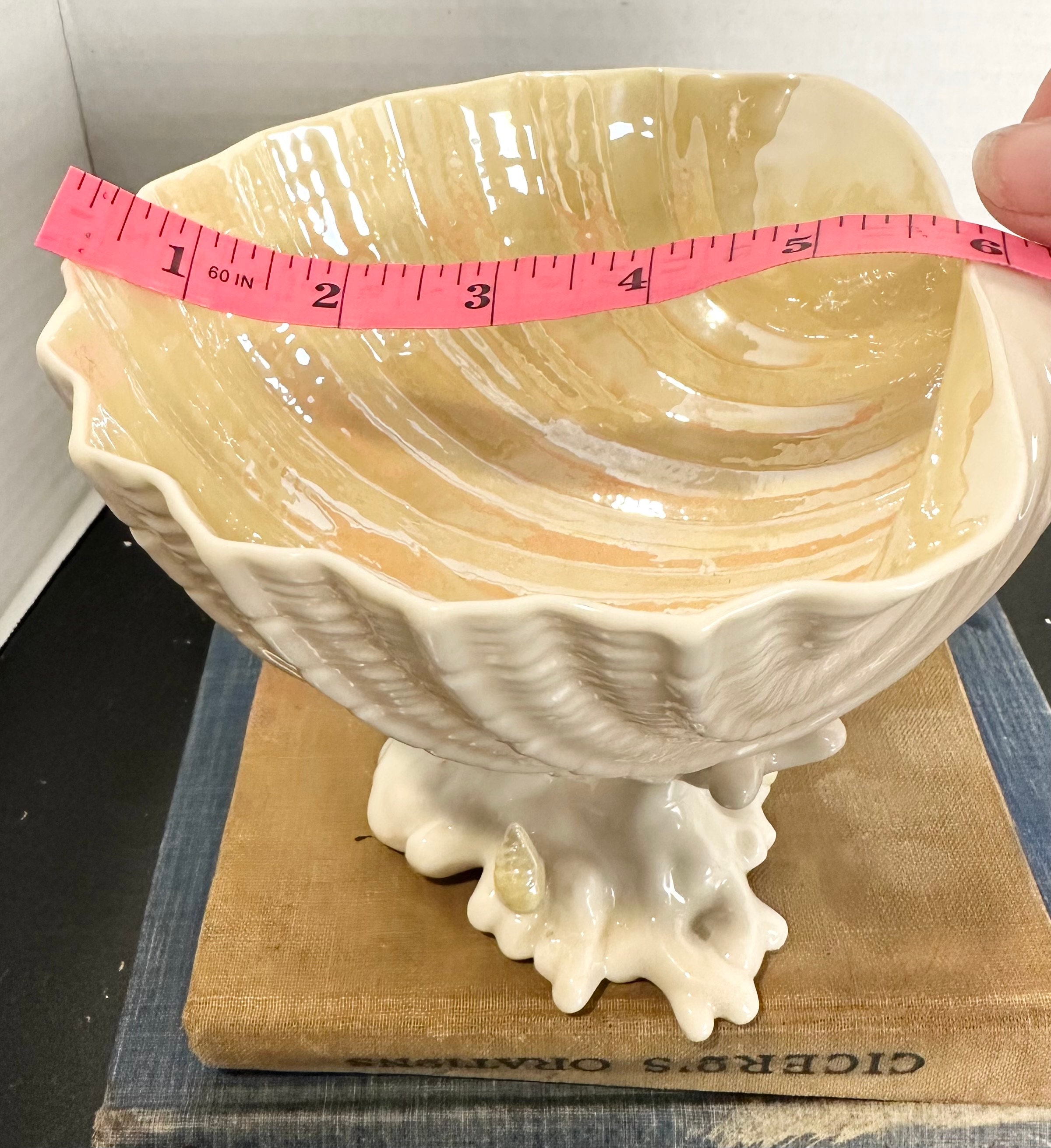 Belleek Cardium Shell Compote Dish Vase Display Vintage Belleek Belleek ...