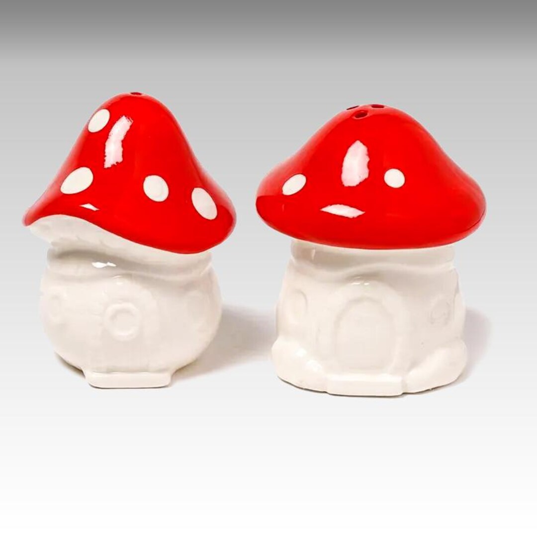 Mushroom Ceramic Salt & Pepper Set - Fairy Toadstool House - Etsy