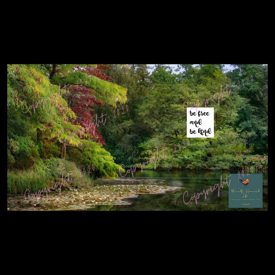 Be Free Be Kind Desktop Wallpaper Digital Download - Etsy